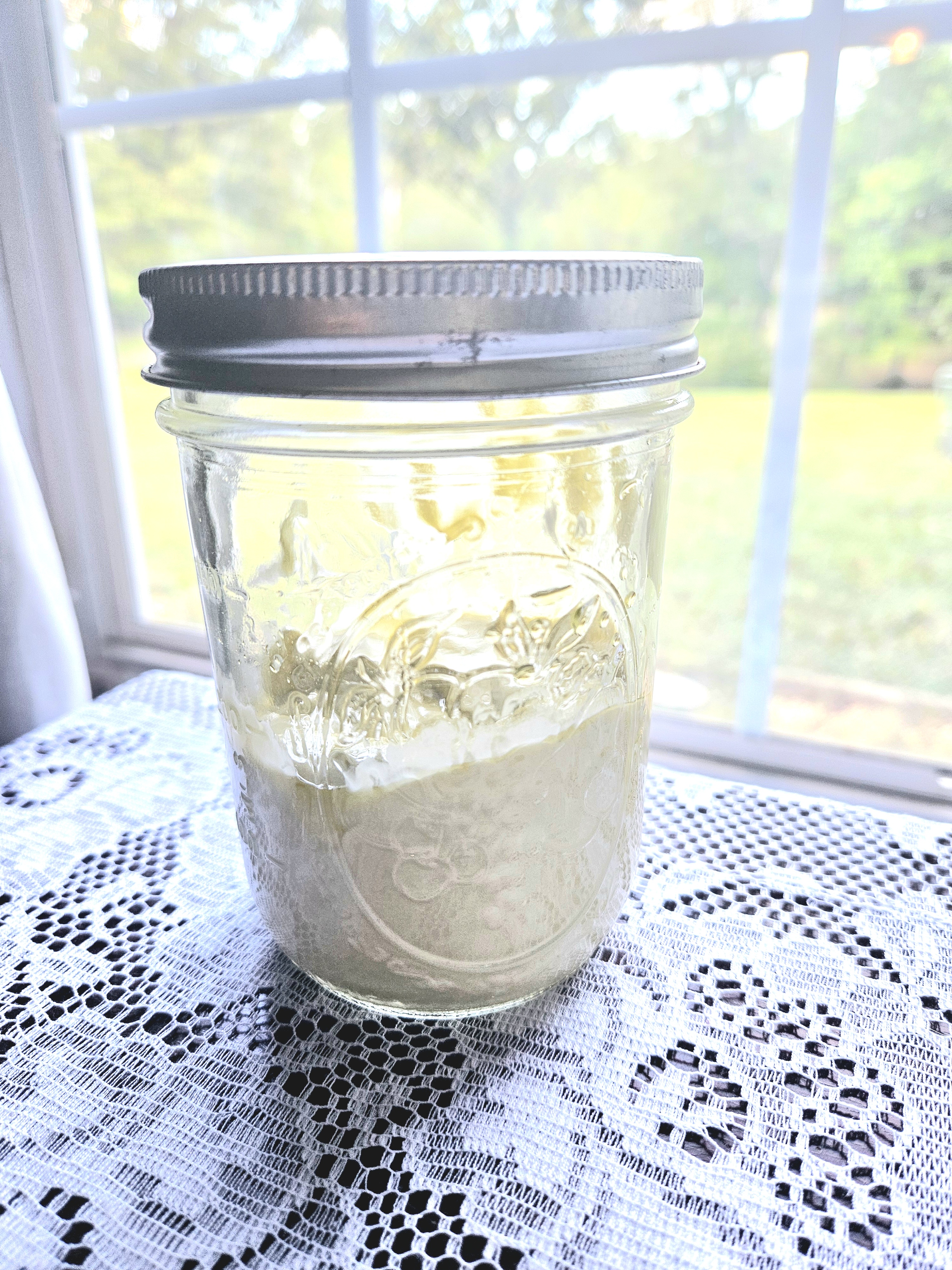 Easy Two Ingredient Homemade Mayonnaise Lintukoto Homestead