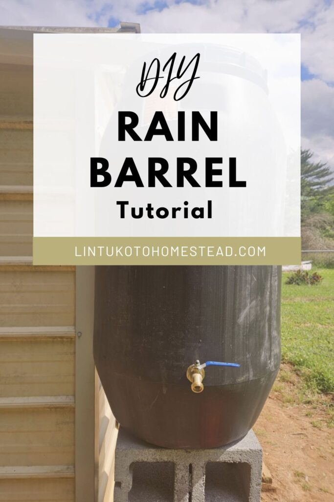 Making A DIY Rain Barrel - Lintukoto Homestead