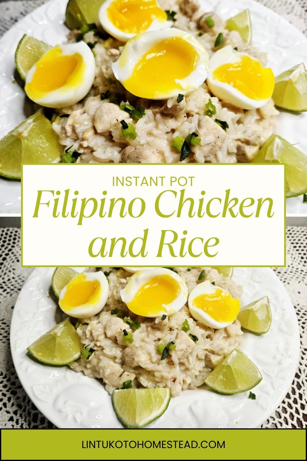 Instant Pot Arroz Caldo - Filipino Chicken And Rice - Lintukoto Homestead